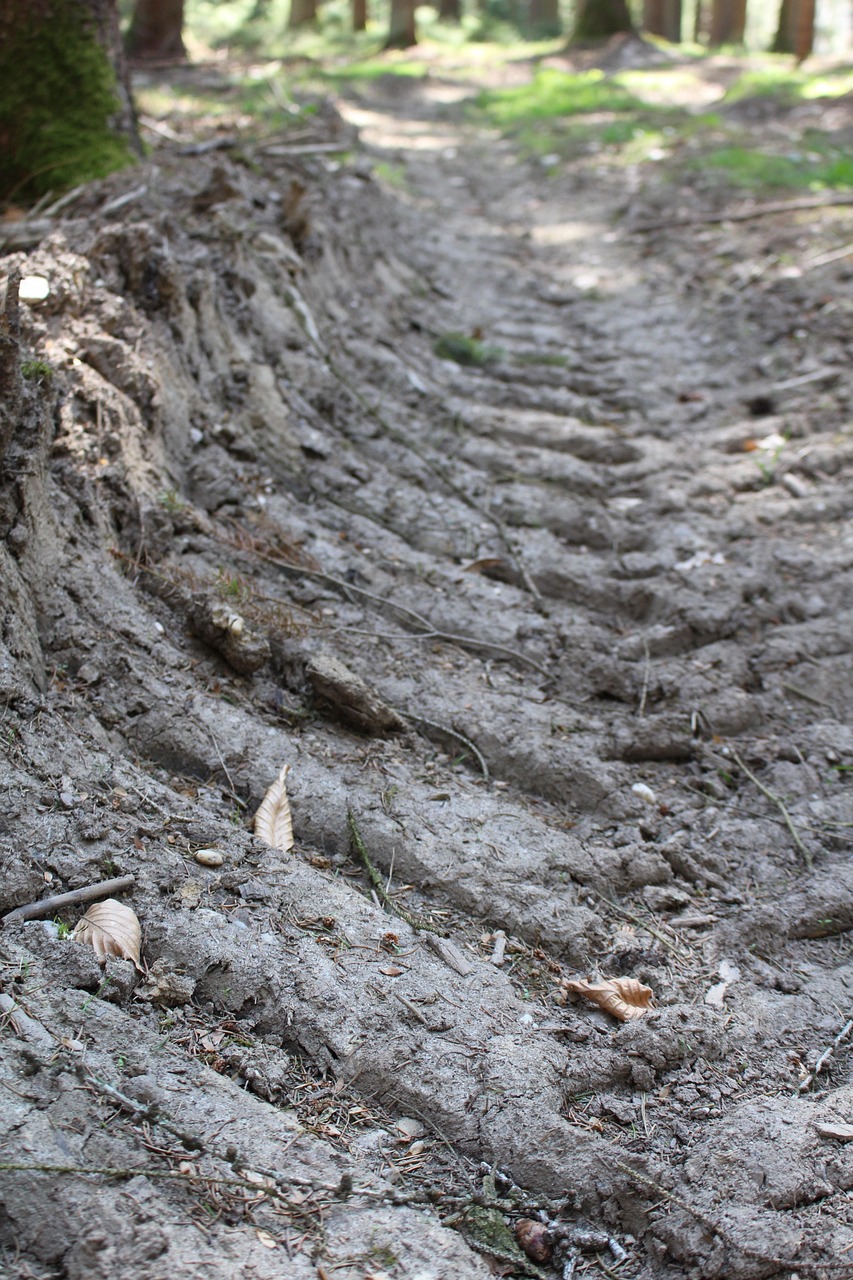 Dirt Mud Sense - Free photo on Pixabay - Pixabay