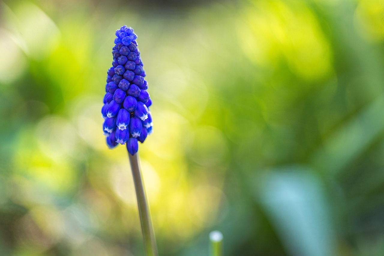 1,876 beautiful photo results - Pixabay