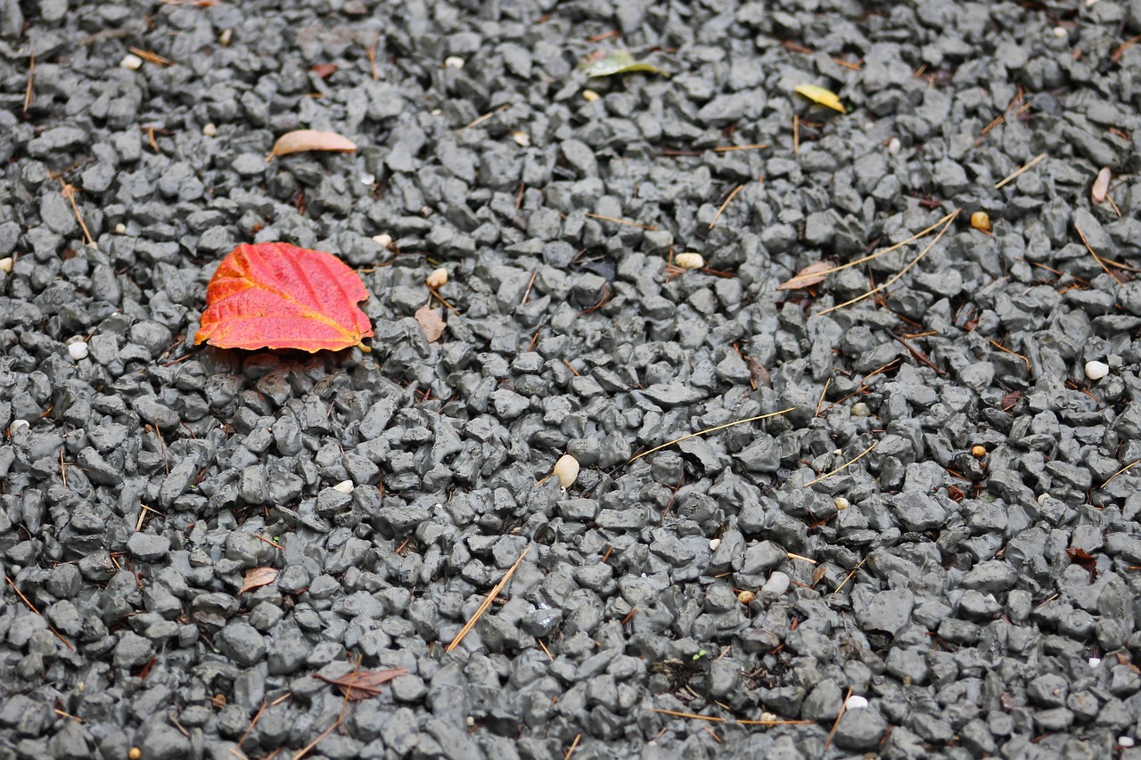 Herbst Blatt - Kostenloses Foto auf Pixabay - Pixabay