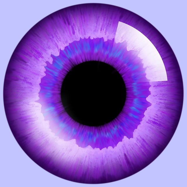 Eye Eyeball Purple - Free image on Pixabay