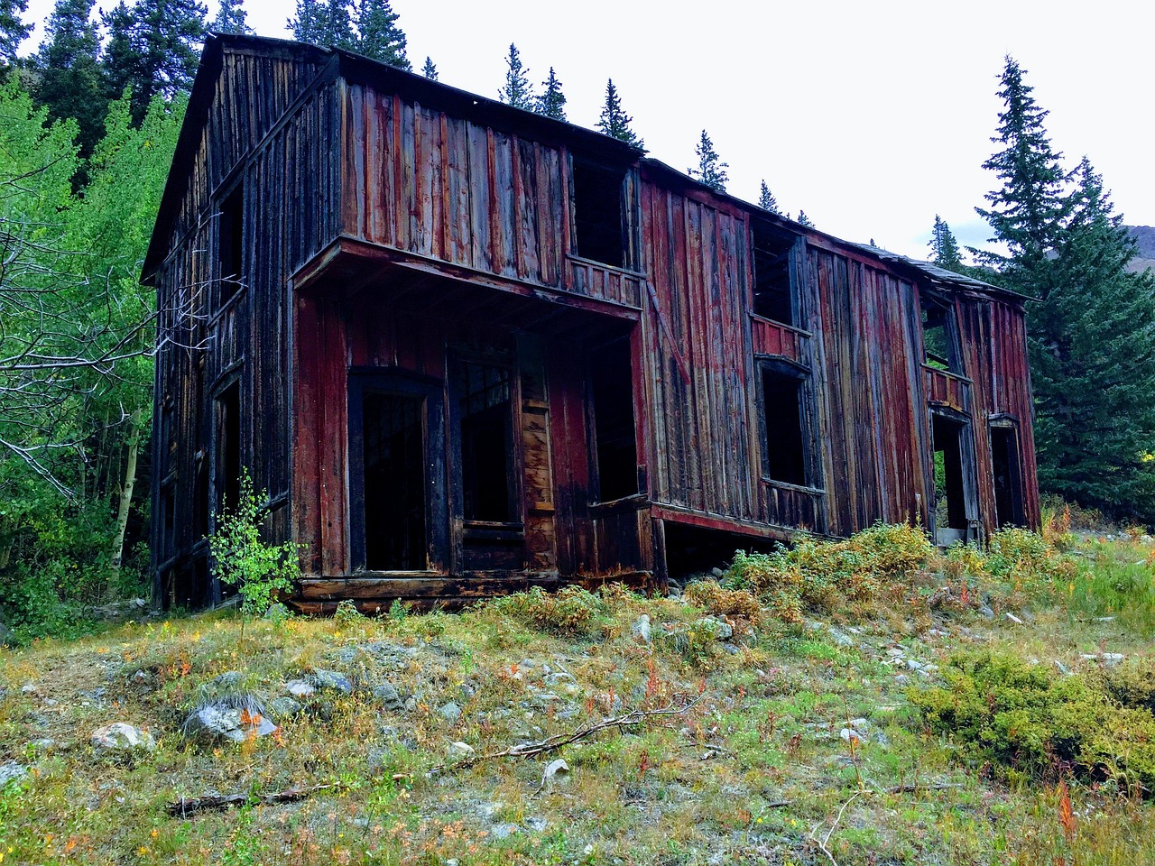 Abandoned Building Nature Forest - Free photo on Pixabay - Pixabay