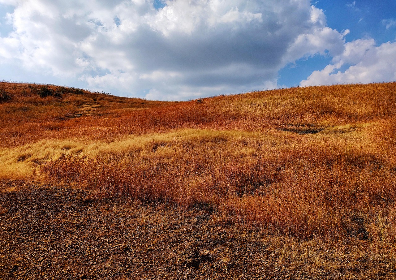 Meadow Hill Dry Grass Free Photo On Pixabay Pixabay