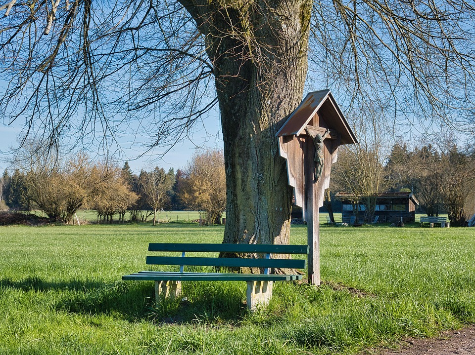 Baum Sitzplatz Bank - Kostenloses Foto auf Pixabay