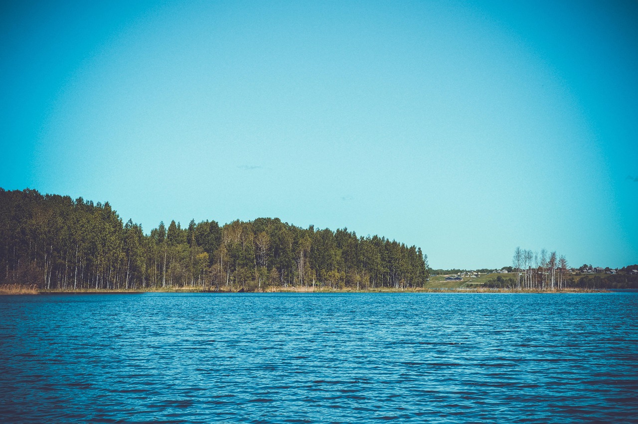 Lake Trees Forest - Free photo on Pixabay