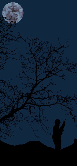 Soldat Lune Arbre - Image gratuite sur Pixabay - Pixabay