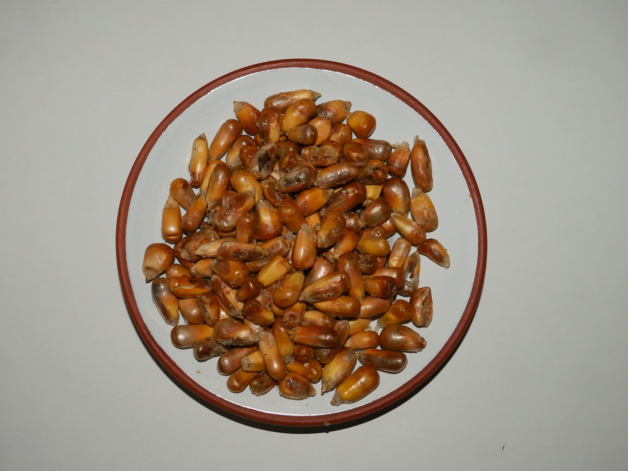 Cancha Serrana Perú Peruvian Corn - Foto gratis en Pixabay - Pixabay