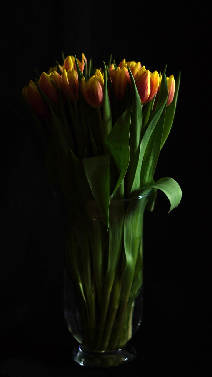 Bunga Tulip Vas Seikat - Foto gratis di Pixabay - Pixabay