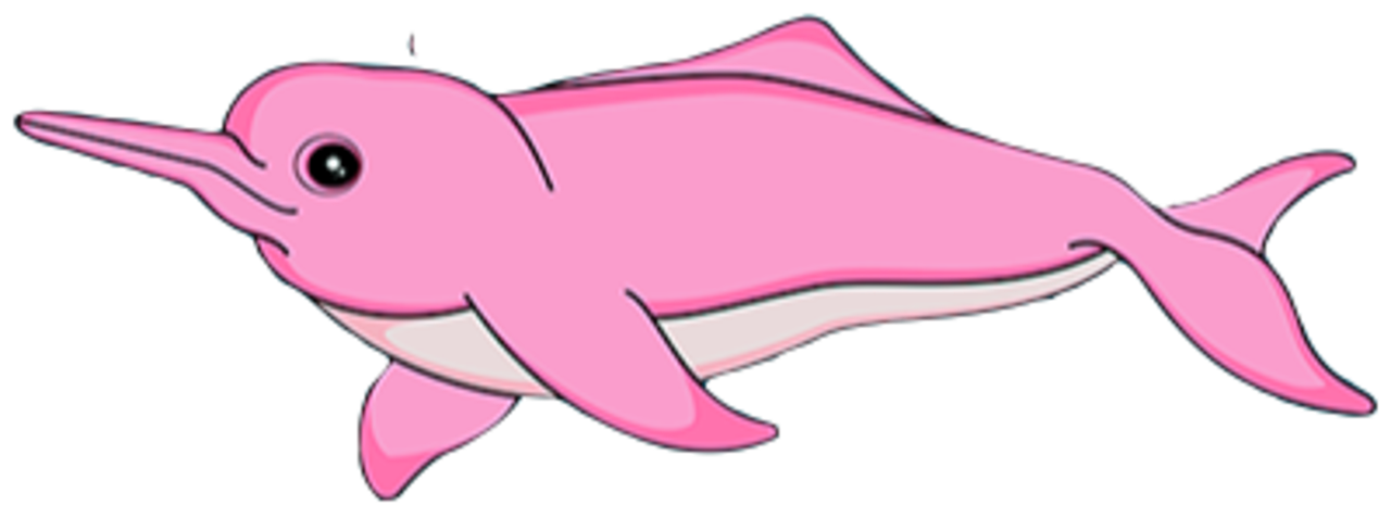 Tonina Delfin - Kostenloses Bild auf Pixabay - Pixabay