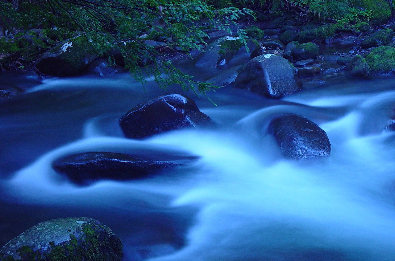 20+ Free Smokey Mountain & Tennessee Images - Pixabay