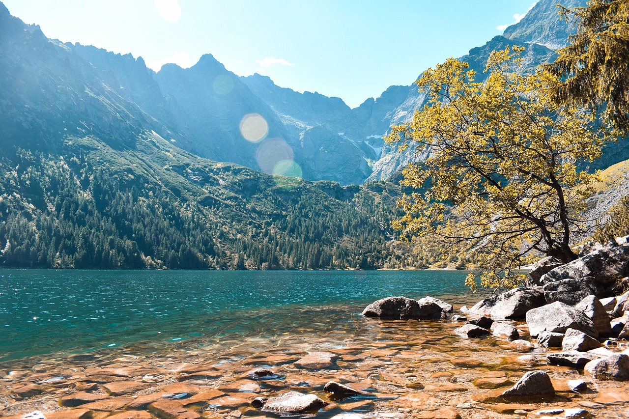 Lago Montañas Alpes - Foto gratis en Pixabay - Pixabay