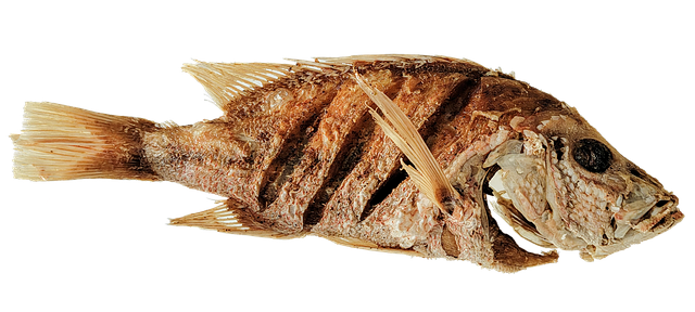 Download Cooked, Fish, Seafood. Royalty-Free Stock Illustration Image ...