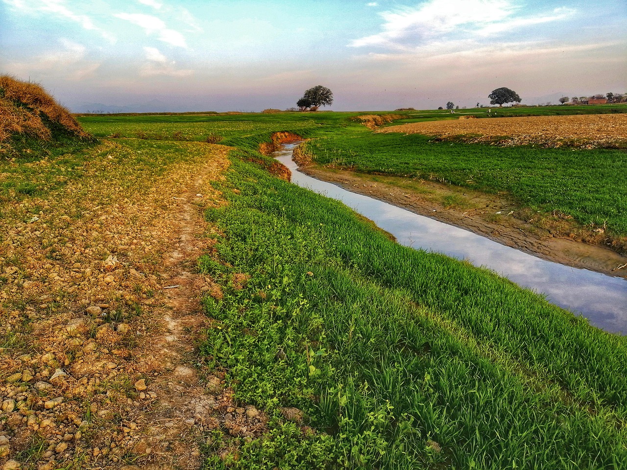 Nature Magnifique Vert - Photo gratuite sur Pixabay - Pixabay