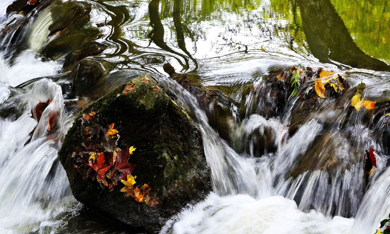 2+ Free Erdei Tükröződés & Erdei Csobogó Photos - Pixabay