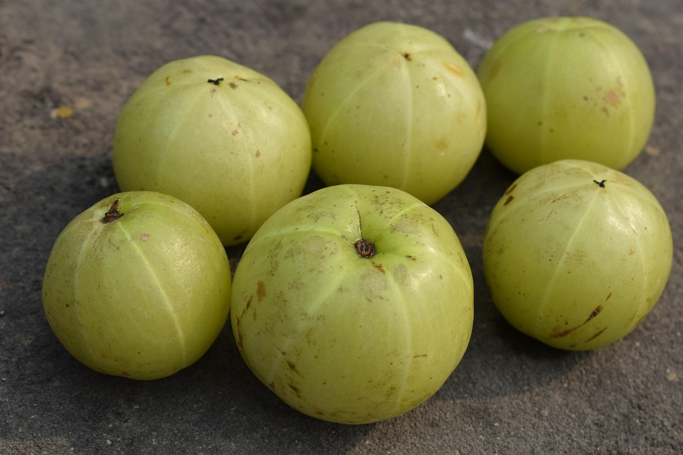 Indian Gooseberry Amla Fruit - Free photo on Pixabay - Pixabay