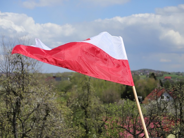 Bandera Polaca Polonia - Foto gratis en Pixabay - Pixabay