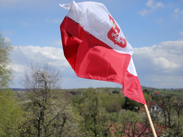 Bandera Polaca Polonia - Foto gratis en Pixabay - Pixabay