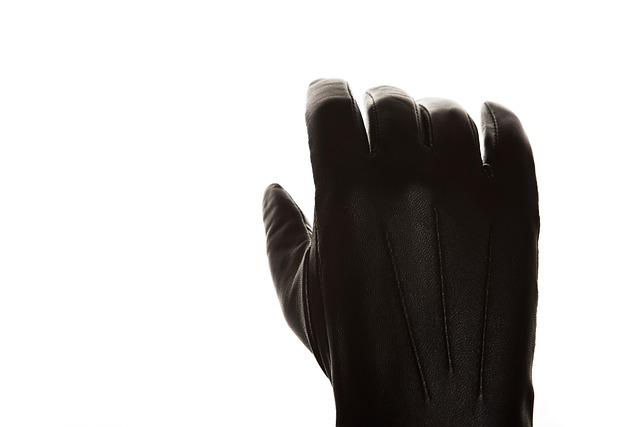 Gant Main Le Noir Les - Photo gratuite sur Pixabay