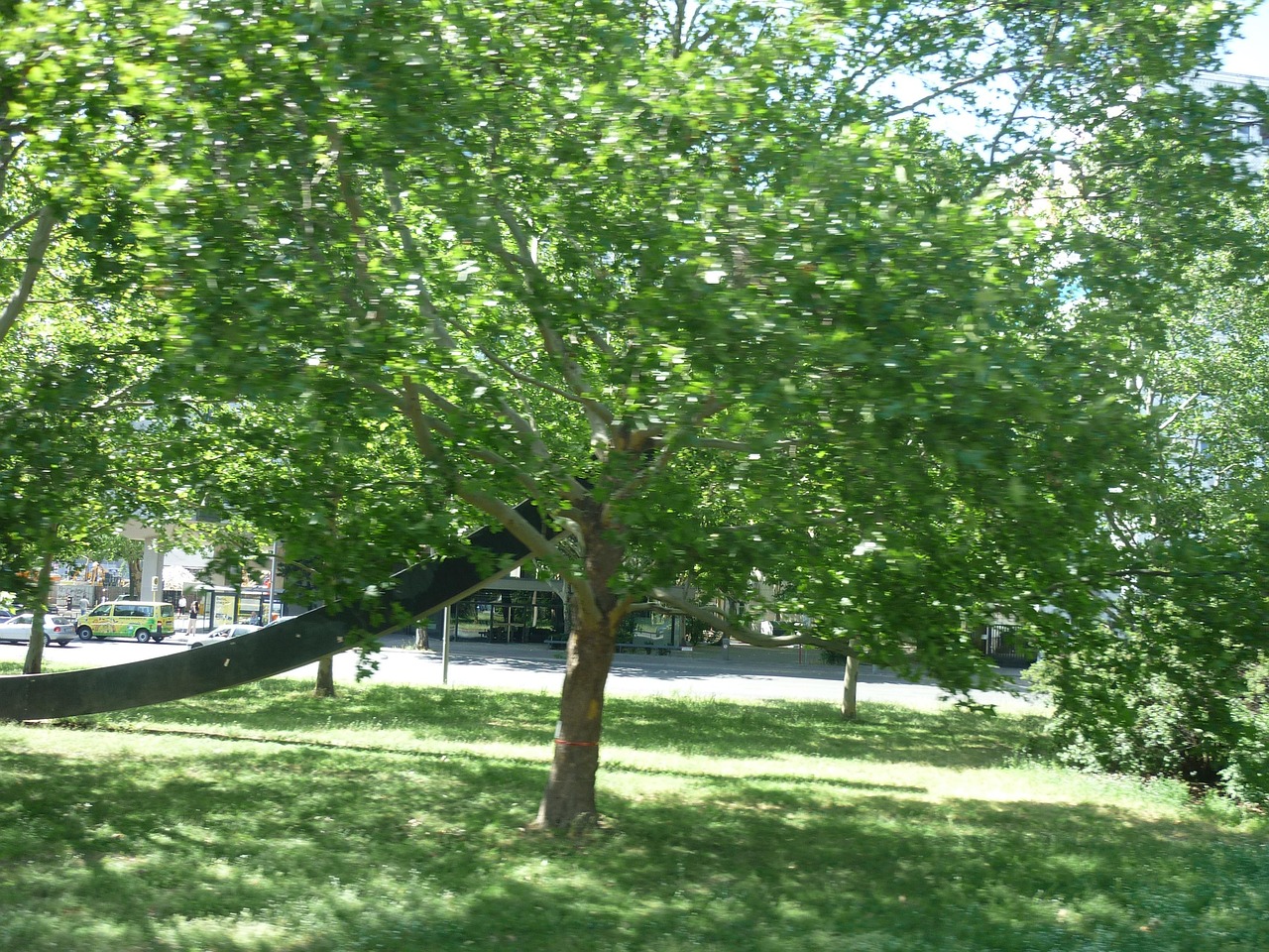 Tree Berlin Nature Free Photo On Pixabay Pixabay tree-berlin-nature-free-photo-on-pixabay-pixabay