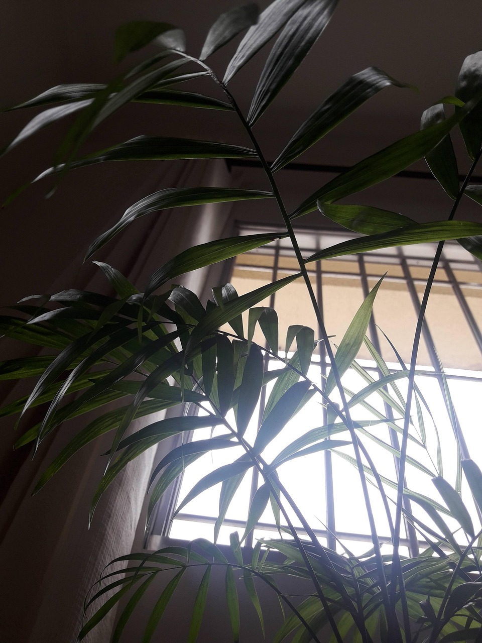 Window Light Perspective - Free photo on Pixabay