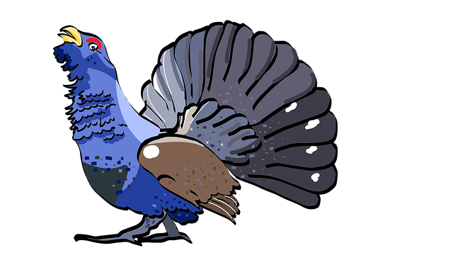 Auerhuhn Vogel Feder - Kostenloses Bild auf Pixabay