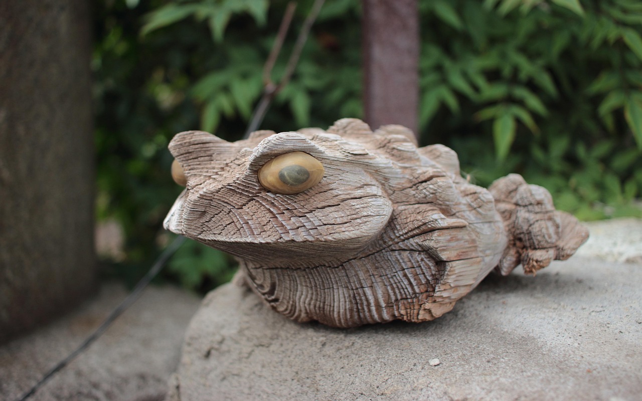 Crapaud Maquette En Bois Statue - Photo gratuite sur Pixabay - Pixabay