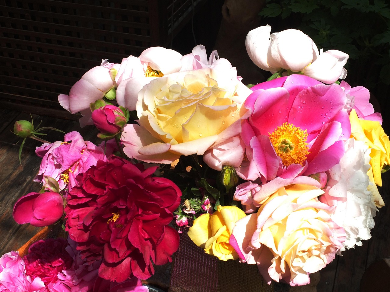 Schöne Blumen Pfingstrose Blume - Kostenloses Foto auf Pixabay - Pixabay