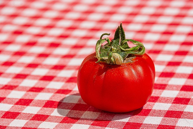 Tomate Vegetal Comida - Foto gratuita no Pixabay - Pixabay Tomate Vegetal Comida - Foto gratuita no Pixabay - Pixabay