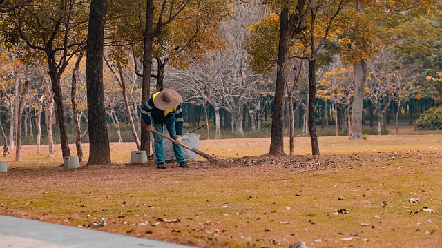 200+ Free Sweeping & Broom Images - Pixabay