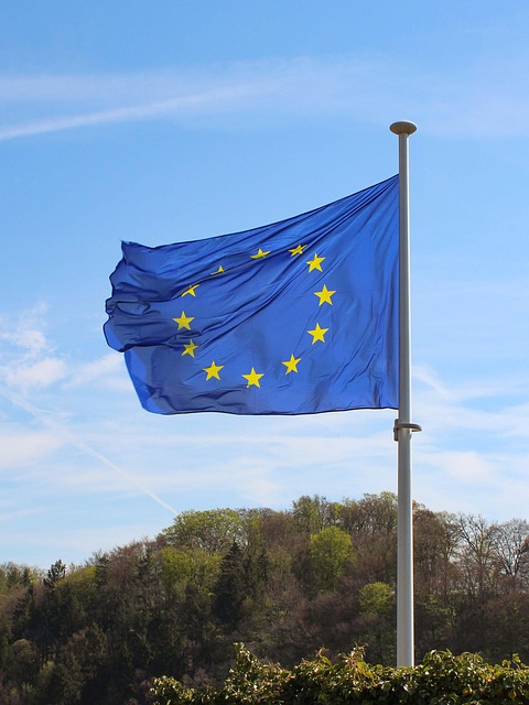 Bandeira Europeia Mastro - Foto gratuita no Pixabay - Pixabay