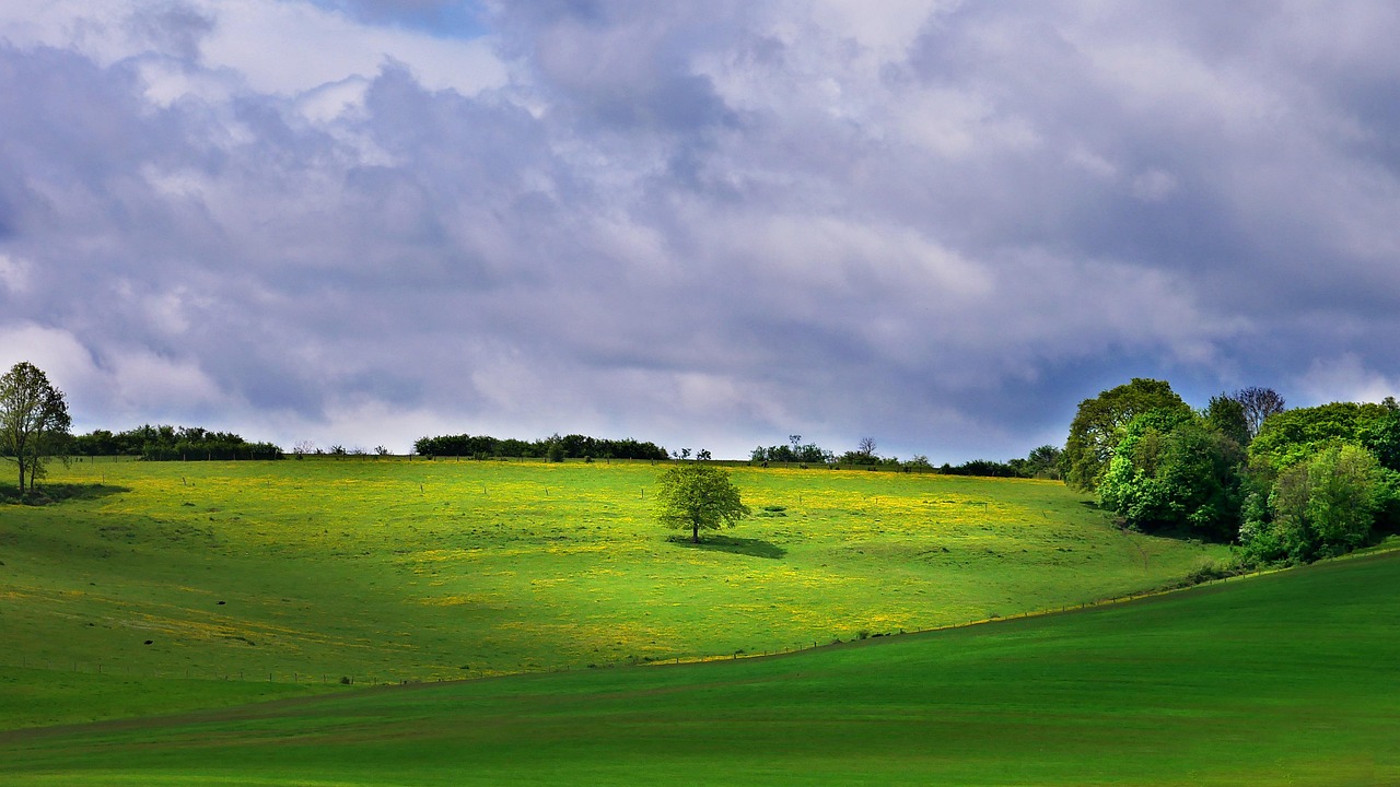 Landscape Tree Sunshine - Free photo on Pixabay - Pixabay
