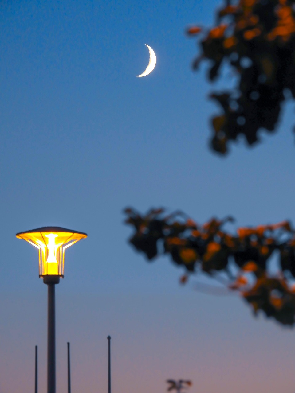 Moon Lantern Sky - Free photo on Pixabay - Pixabay