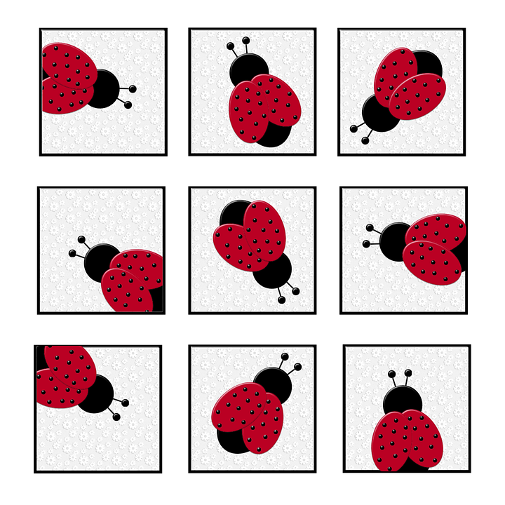 Download Ladybugs, Ladybirds, Insects. Royalty-Free Stock Illustration ...