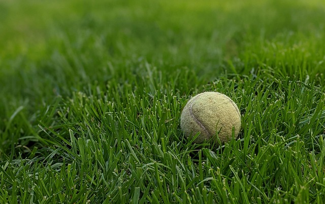 Tennis Ball - Free photo on Pixabay - Pixabay