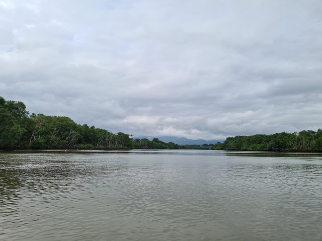 Muara Sungai Cojimíes Manabi - Foto gratis di Pixabay