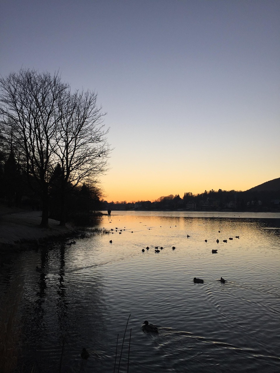 La Nature De Belle - Photo gratuite sur Pixabay - Pixabay