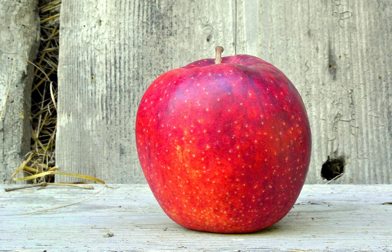 Apple Fruit Food - Free photo on Pixabay - Pixabay