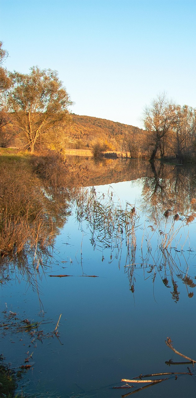 Gondolatok Természet Tavacska - Ingyenes fotó a Pixabay-en - Pixabay