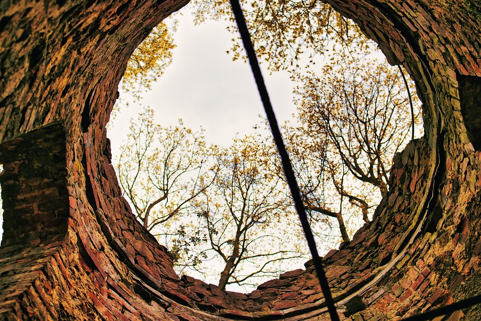 Trees Ruins Castle - Free photo on Pixabay