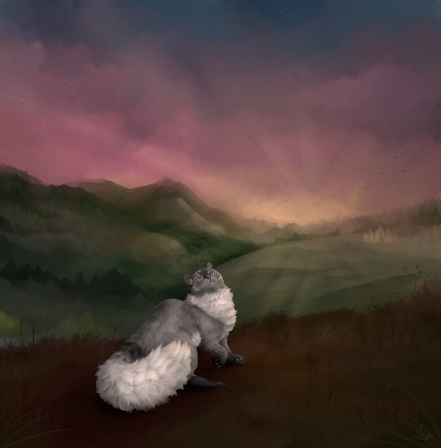Download Sunset Nature Cat Royalty-Free Stock Illustration Image - Pixabay