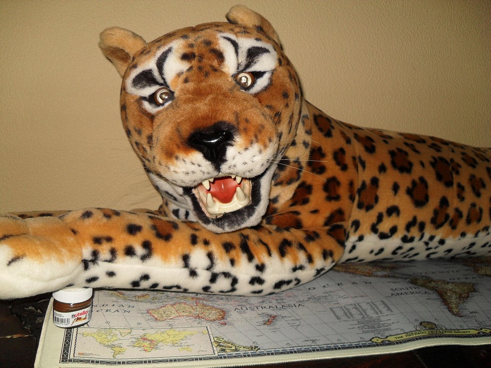 Leopard Nutella Stuffed - Free photo on Pixabay - Pixabay
