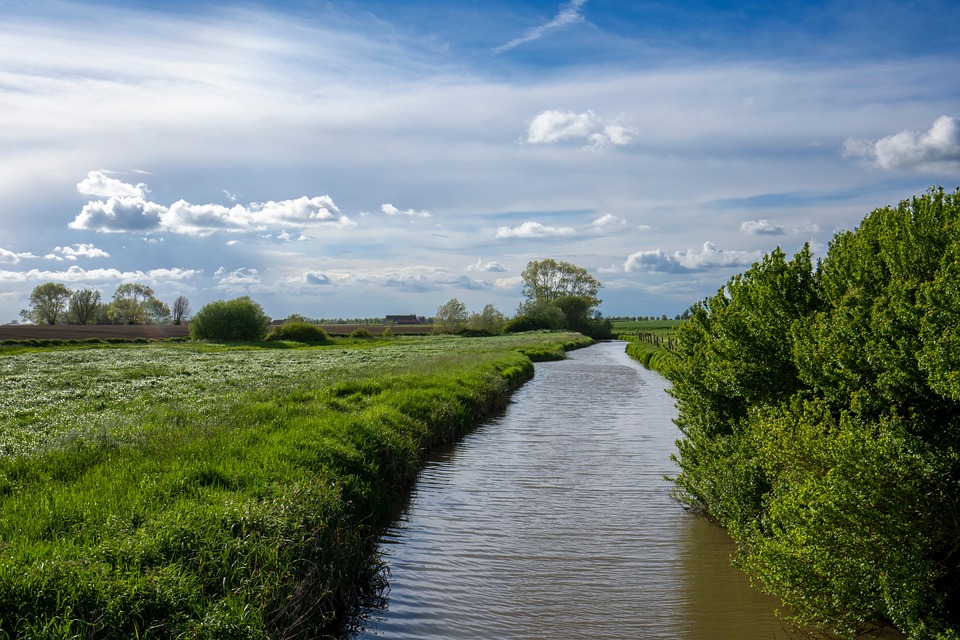 Grass Fields Stream - Free photo on Pixabay - Pixabay