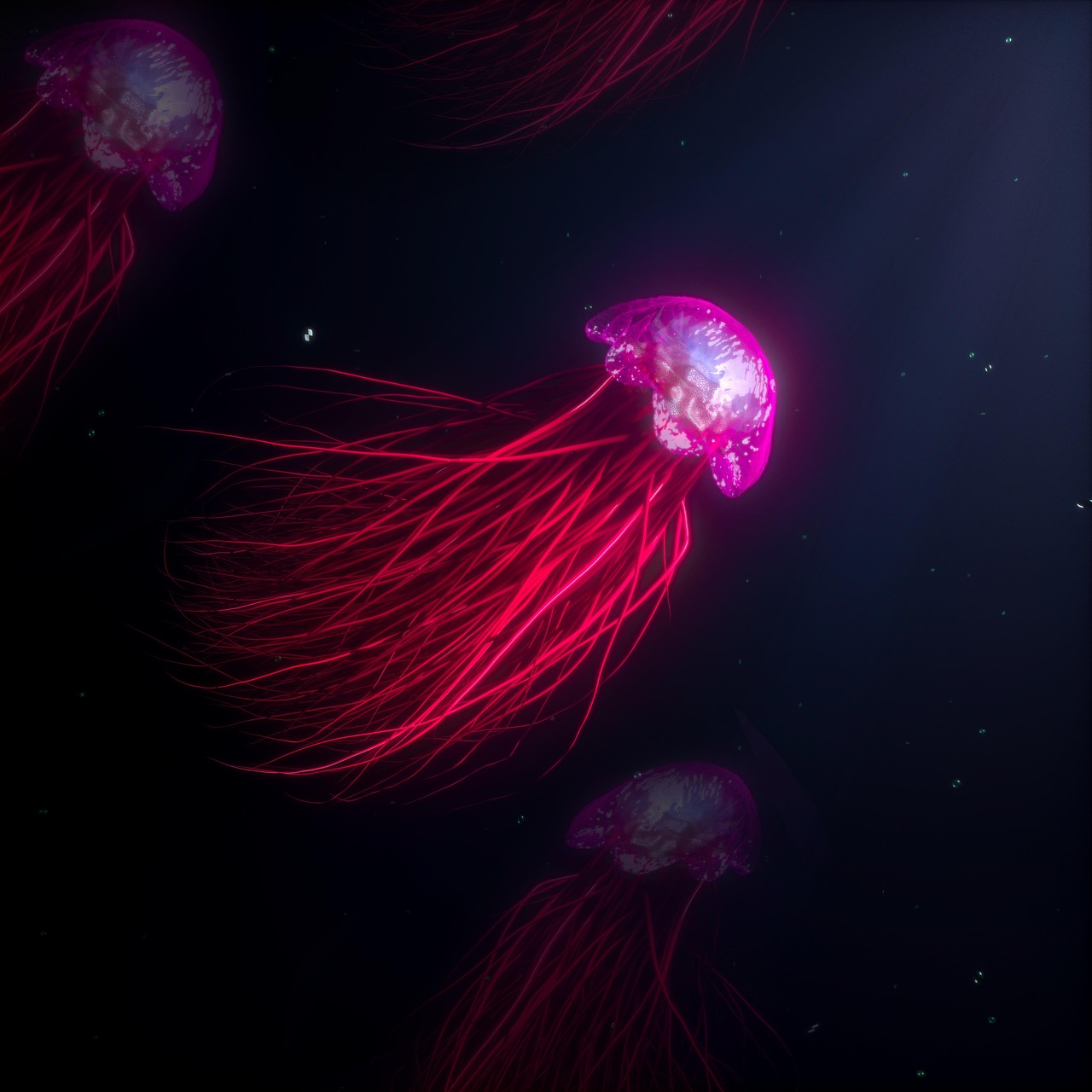 Jellyfish Fish Tentacles - Free photo on Pixabay