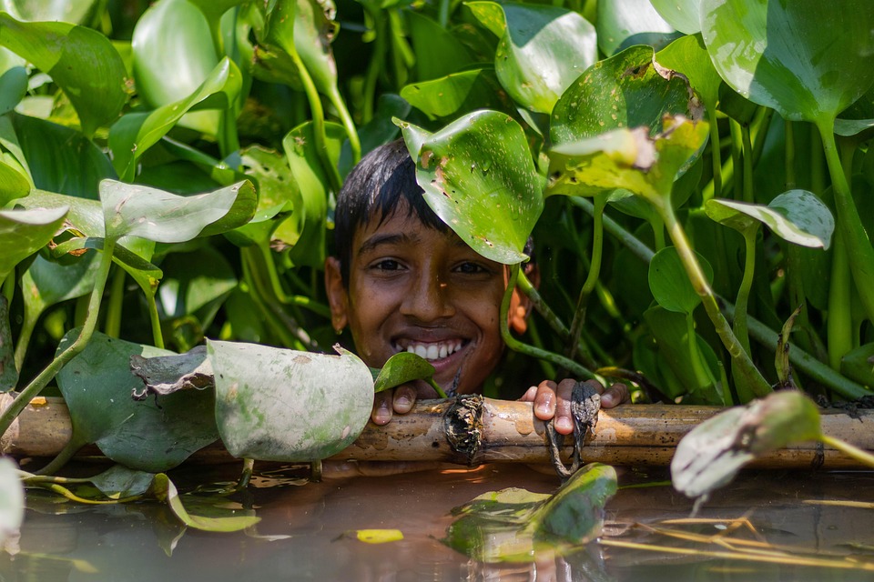 Boy Pond Leaves - Free photo on Pixabay - Pixabay