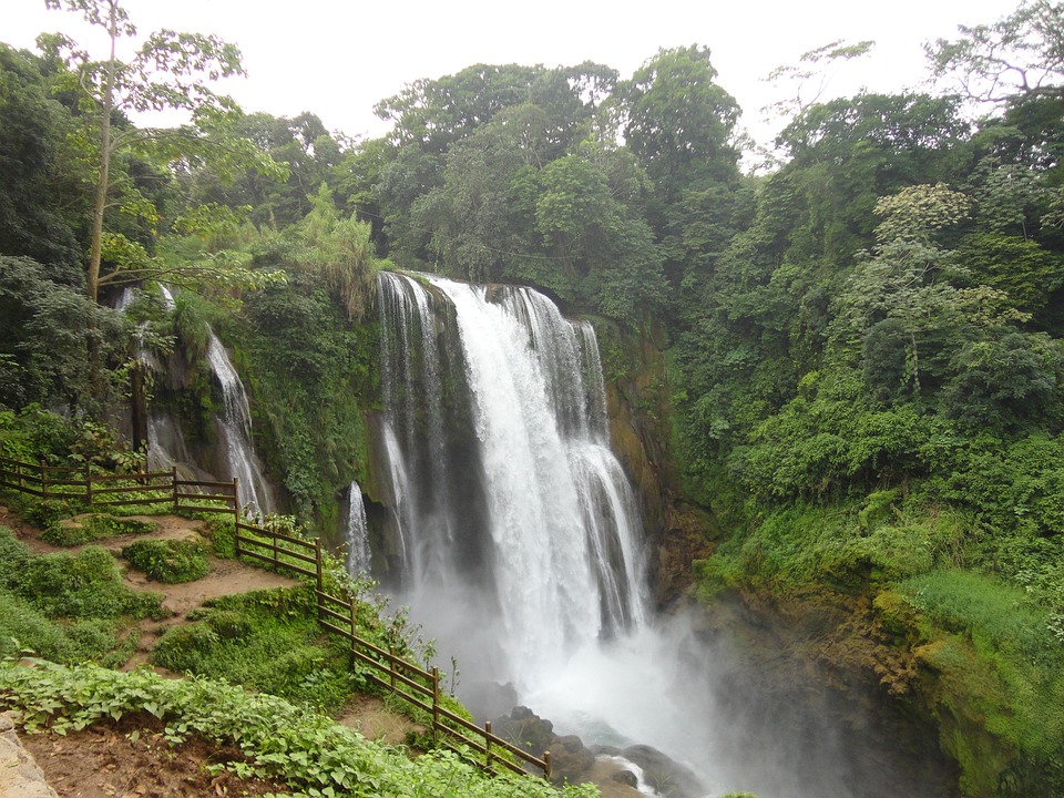 Cataract Waterfalls Trees - Free photo on Pixabay