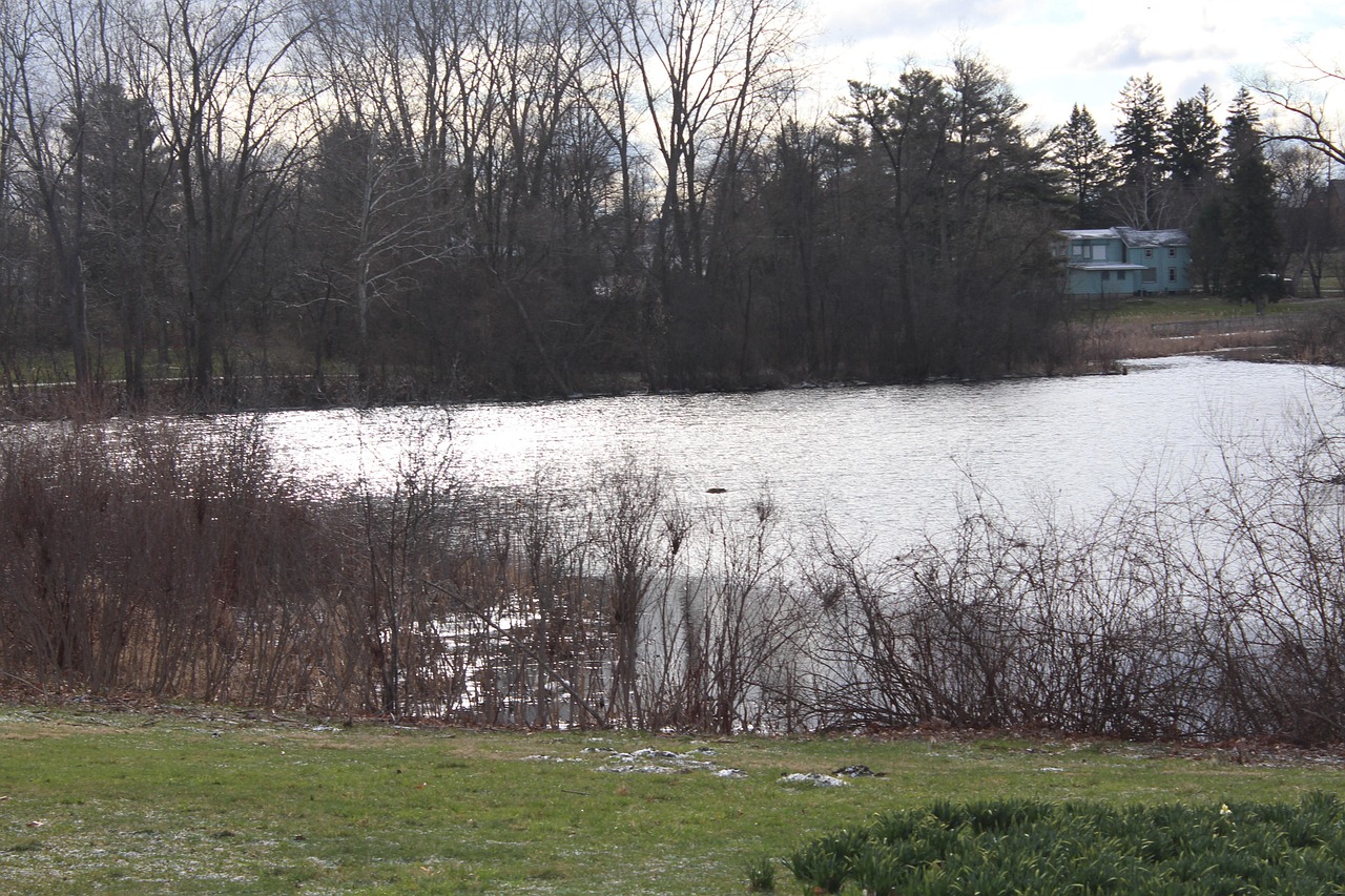Pond Jackson Michigan - Free photo on Pixabay - Pixabay