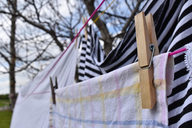 Laundry Clothes Line Peg - Free photo on Pixabay - Pixabay