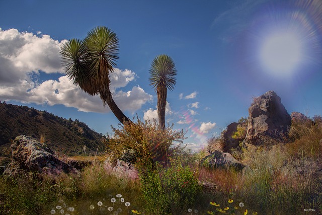 Mexique La Nature Voyager - Photo gratuite sur Pixabay - Pixabay