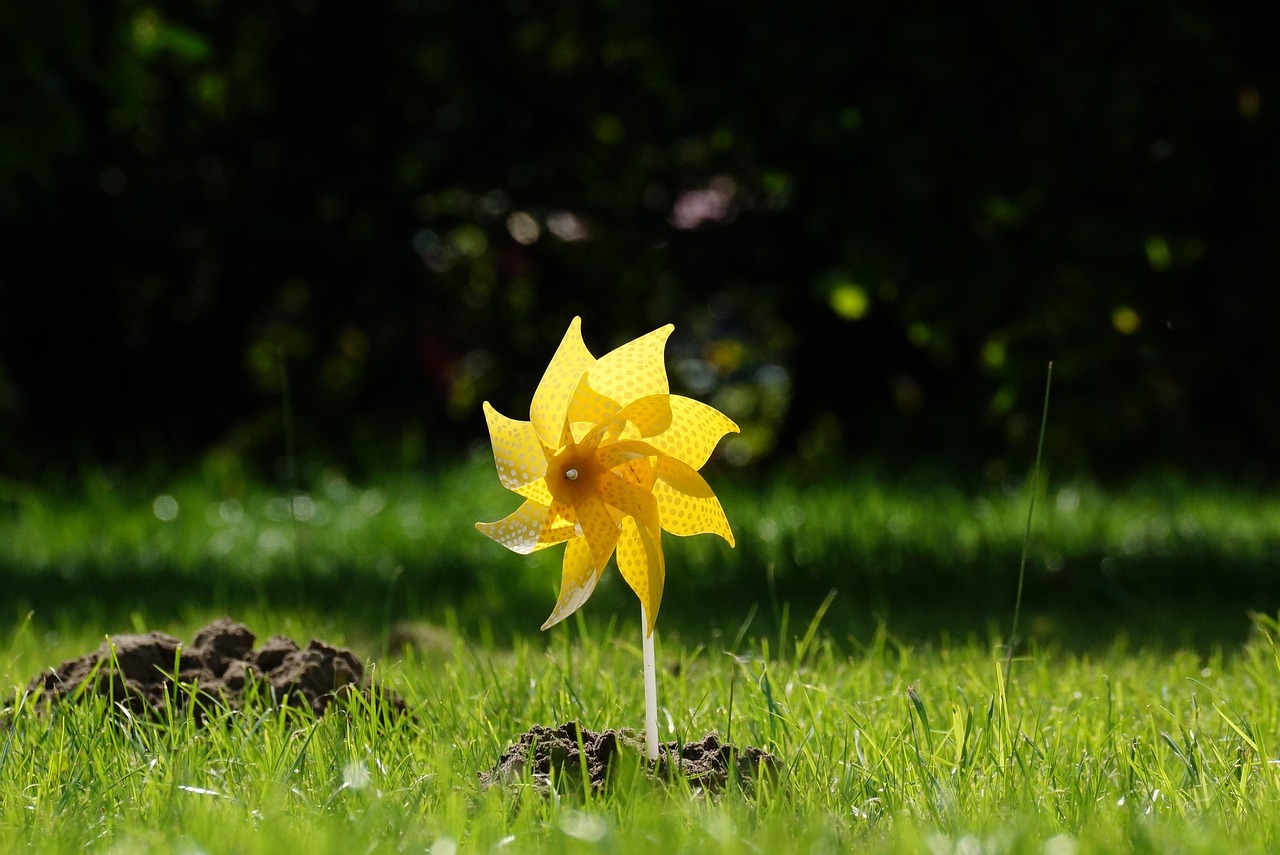 Plastic Pinwheel Sun Meadow - Free photo on Pixabay - Pixabay