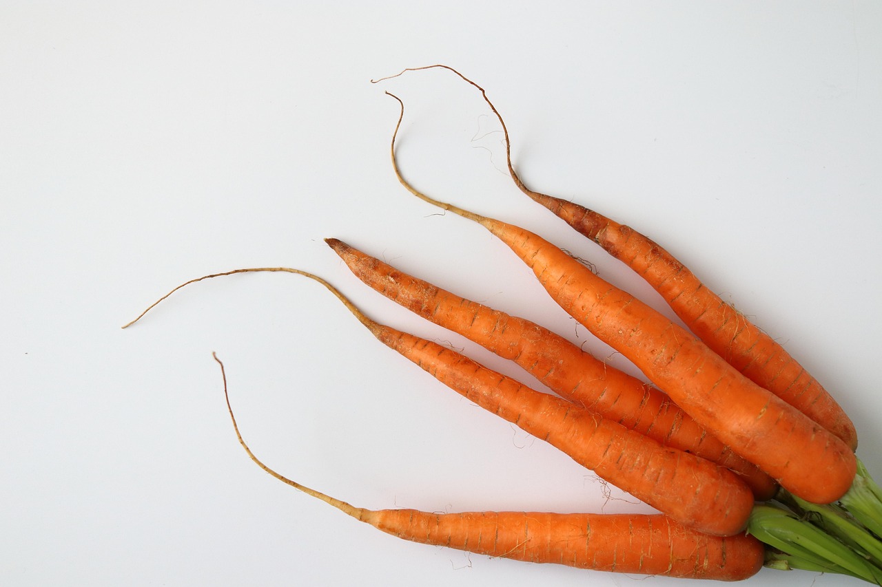 Marchew Warzywa Organiczny Młode - Darmowe zdjęcie na Pixabay - Pixabay