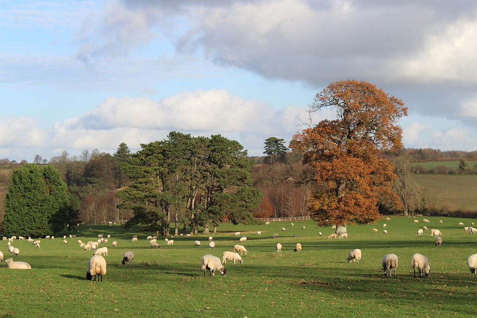 England Autumn Fall - Free photo on Pixabay